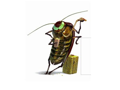 Bug Finish by Barry E Jackson on Dribbble