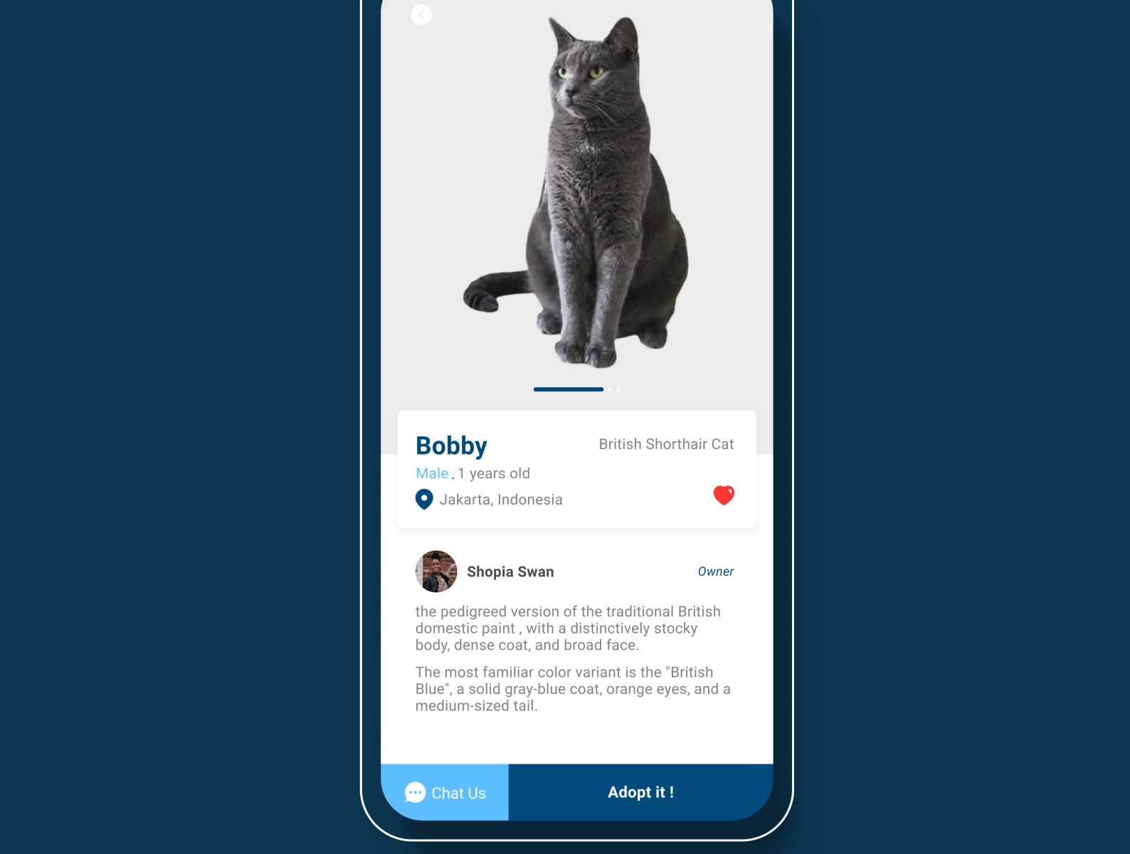 Adoption Cat Design App by Tasya Azizah Noviana on Dribbble