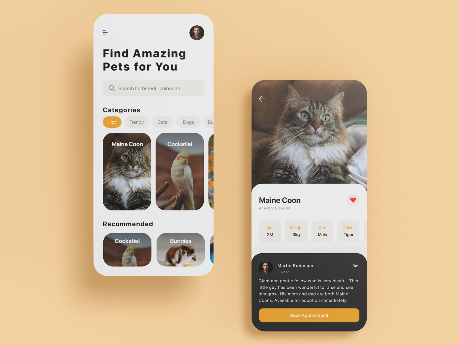 Pet Adoption App Design by Valerică Pădureanu on Dribbble