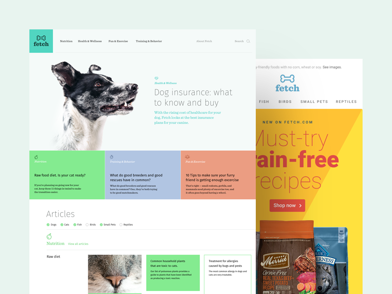 Redesign Proposal by Erol for Punch on Dribbble