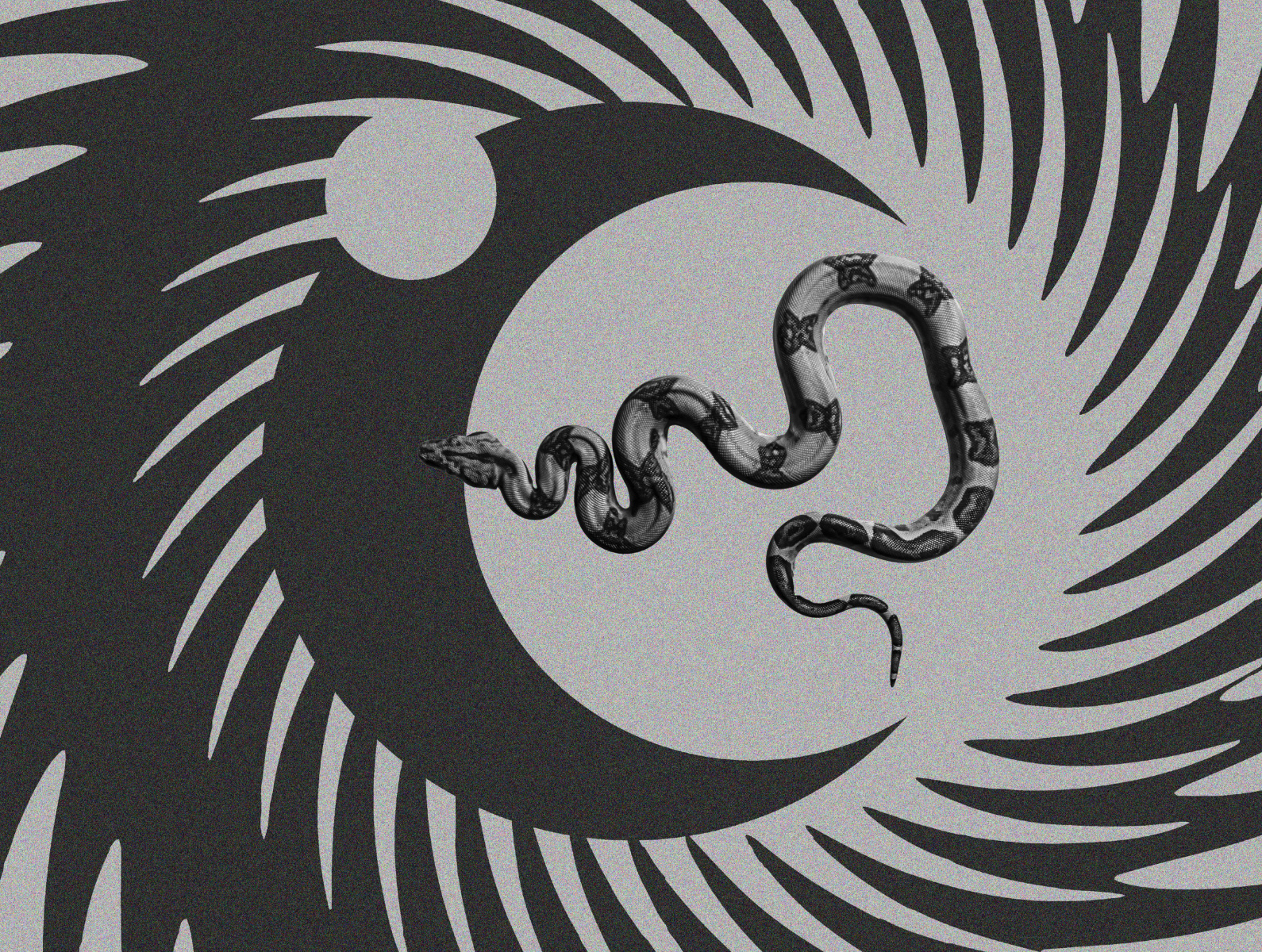 Abstract cover with snake by Lisa Voevodina on Dribbble