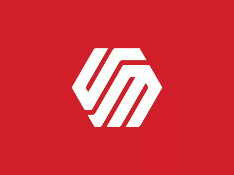 VM Motors by Diversity on Dribbble