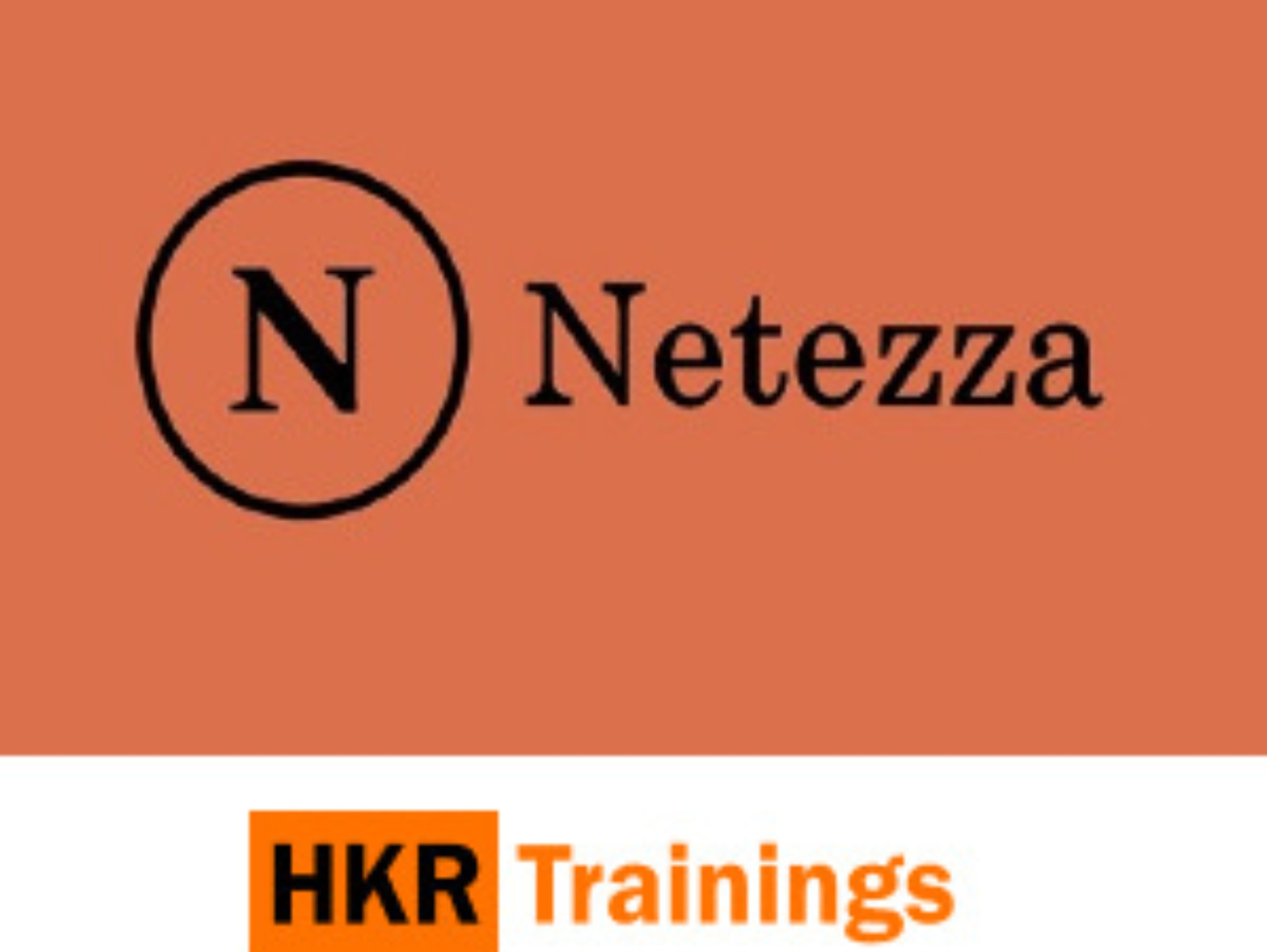 Netezza Training from HKR Trainings by michelpeck on Dribbble