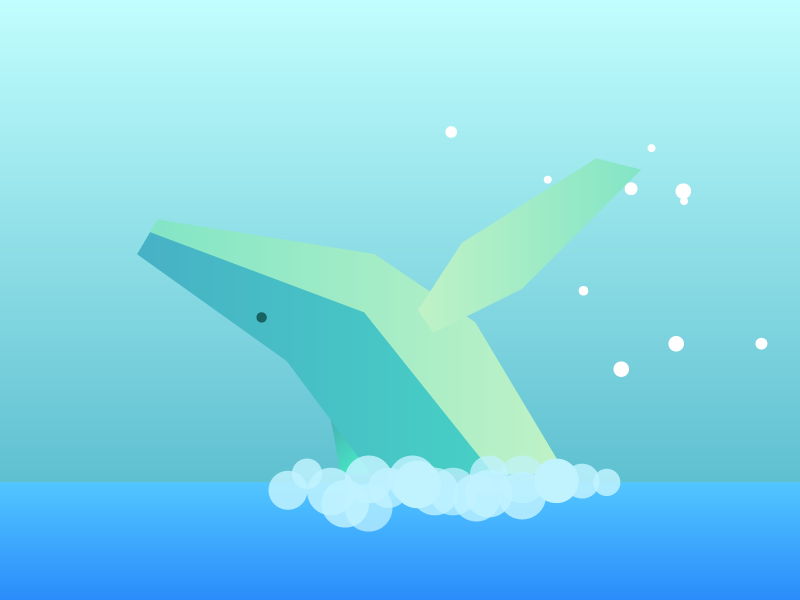 Whale by Brandon Mowat on Dribbble