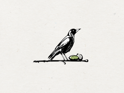 Magpie by Ivana Maciev on Dribbble
