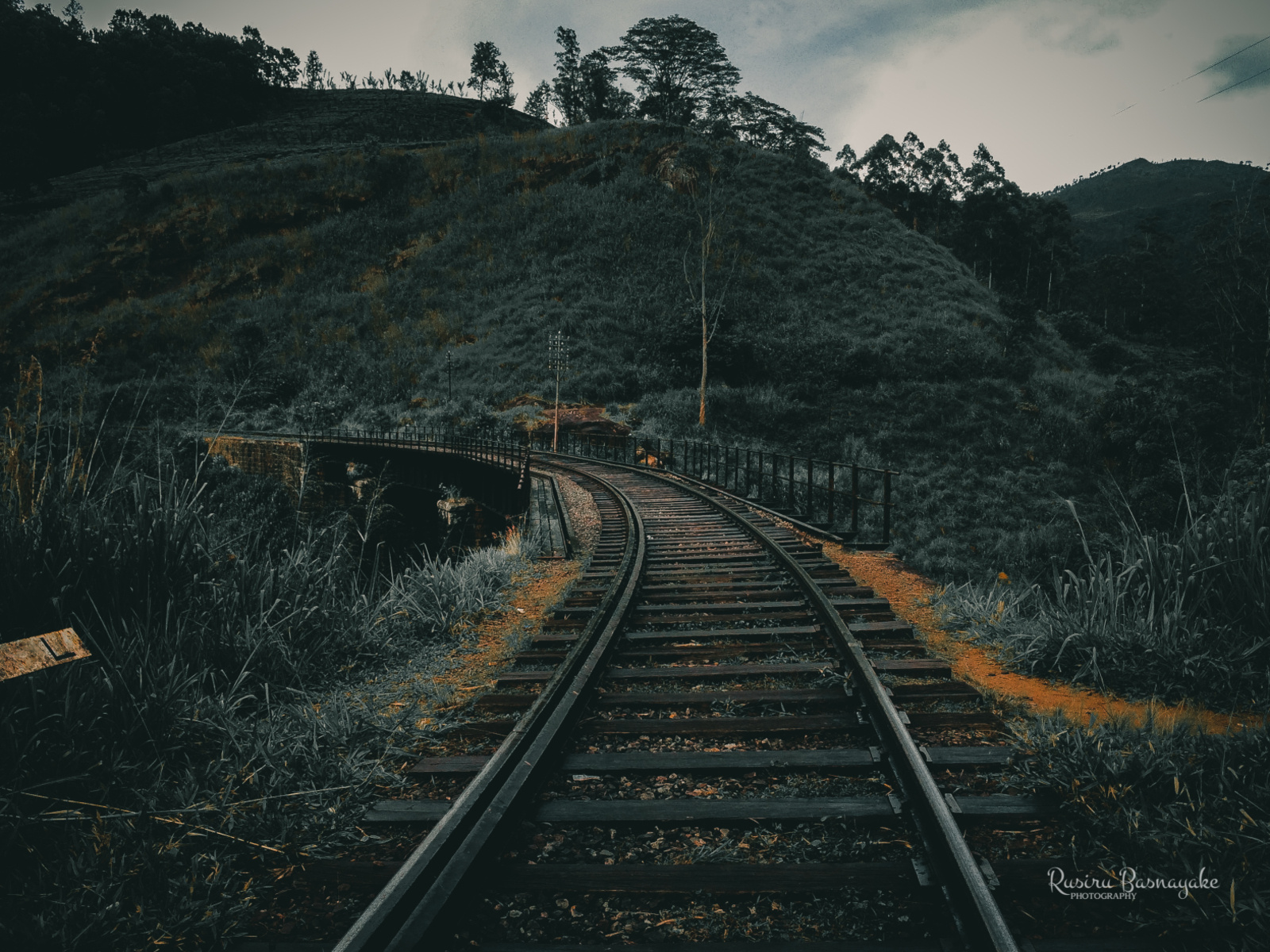 Dribbble - IMG_1135.jpg by Rusiru