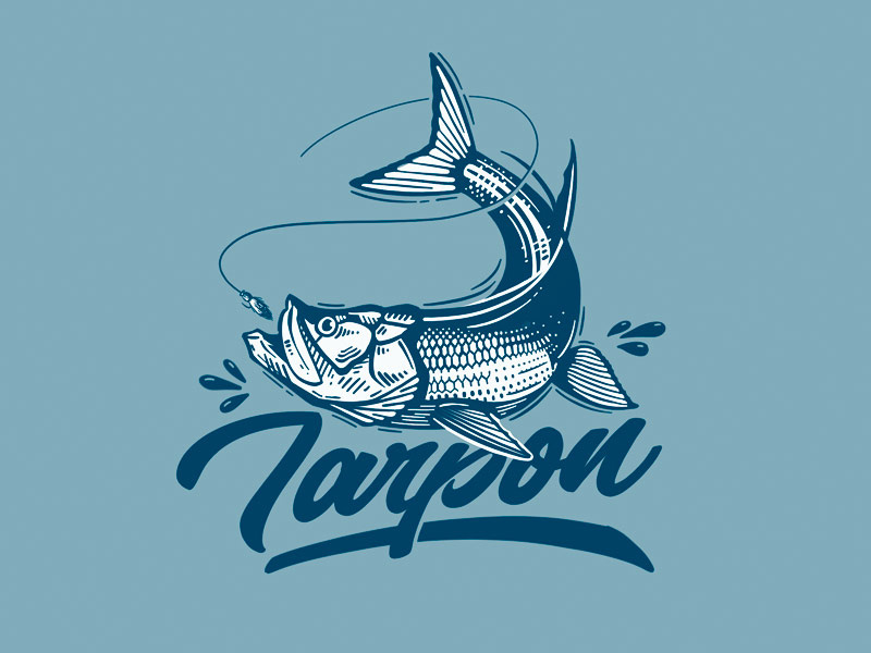 Tarpon Illustration by Nathan Brown on Dribbble