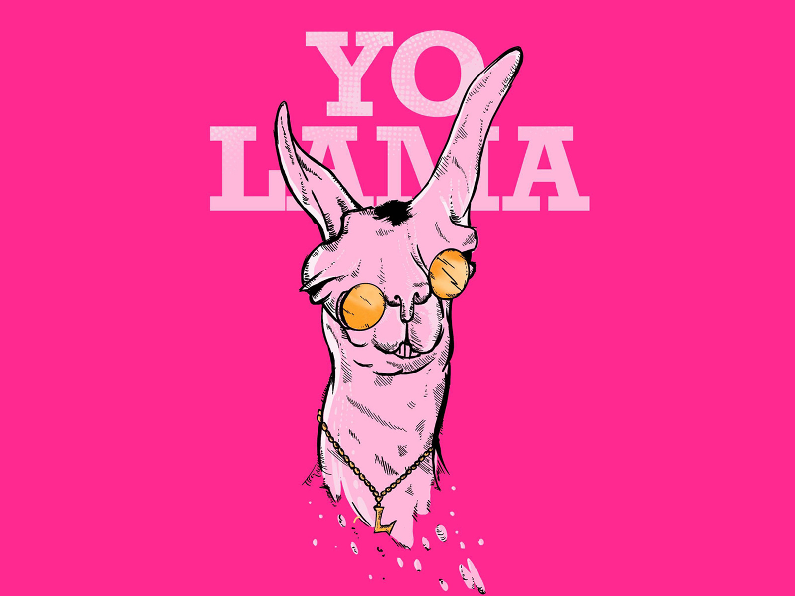 lama by Bartek Ćwikałowski on Dribbble