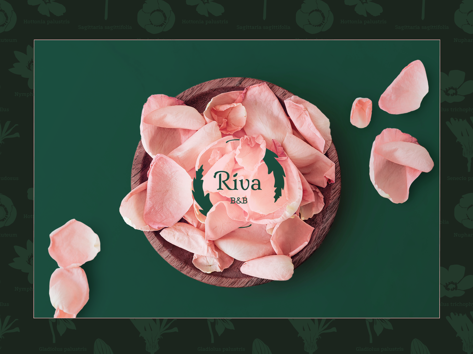 Riva Identity by Caterina Veneziano on Dribbble