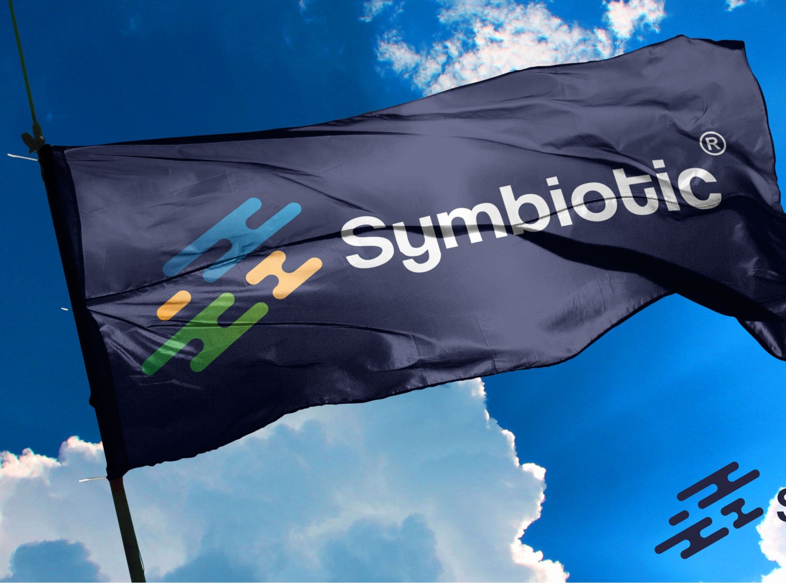 Symbiotic Branding by Align_Concept on Dribbble