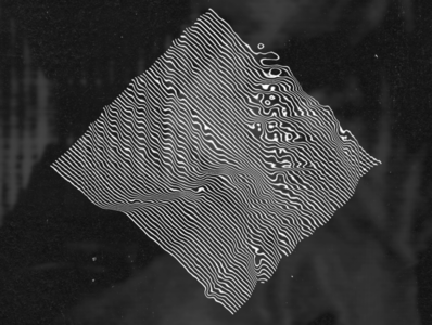 Line Distortion by Benjamin Kantschieder on Dribbble