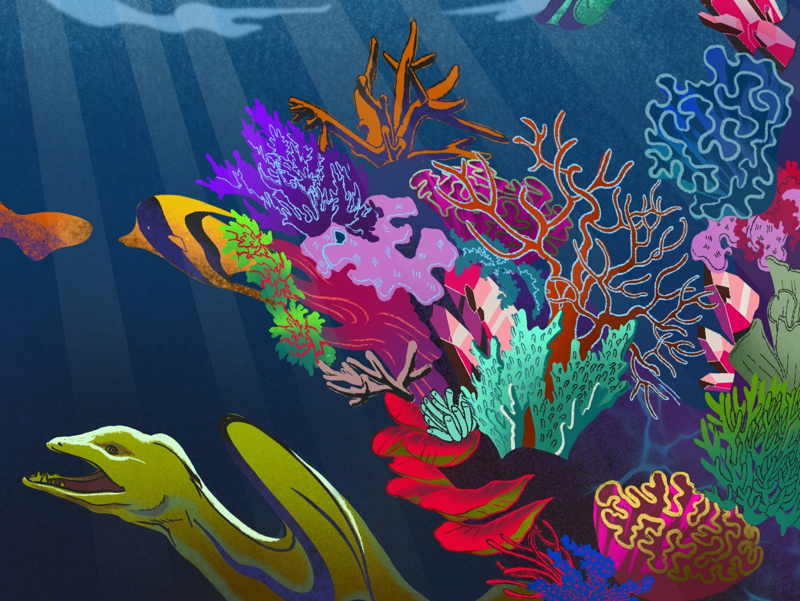 Marine Life by Adam Mazur on Dribbble