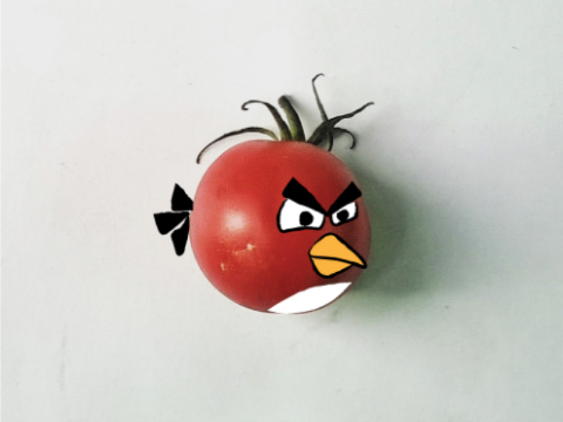 Hangry Bird by DOWNSIGN on Dribbble
