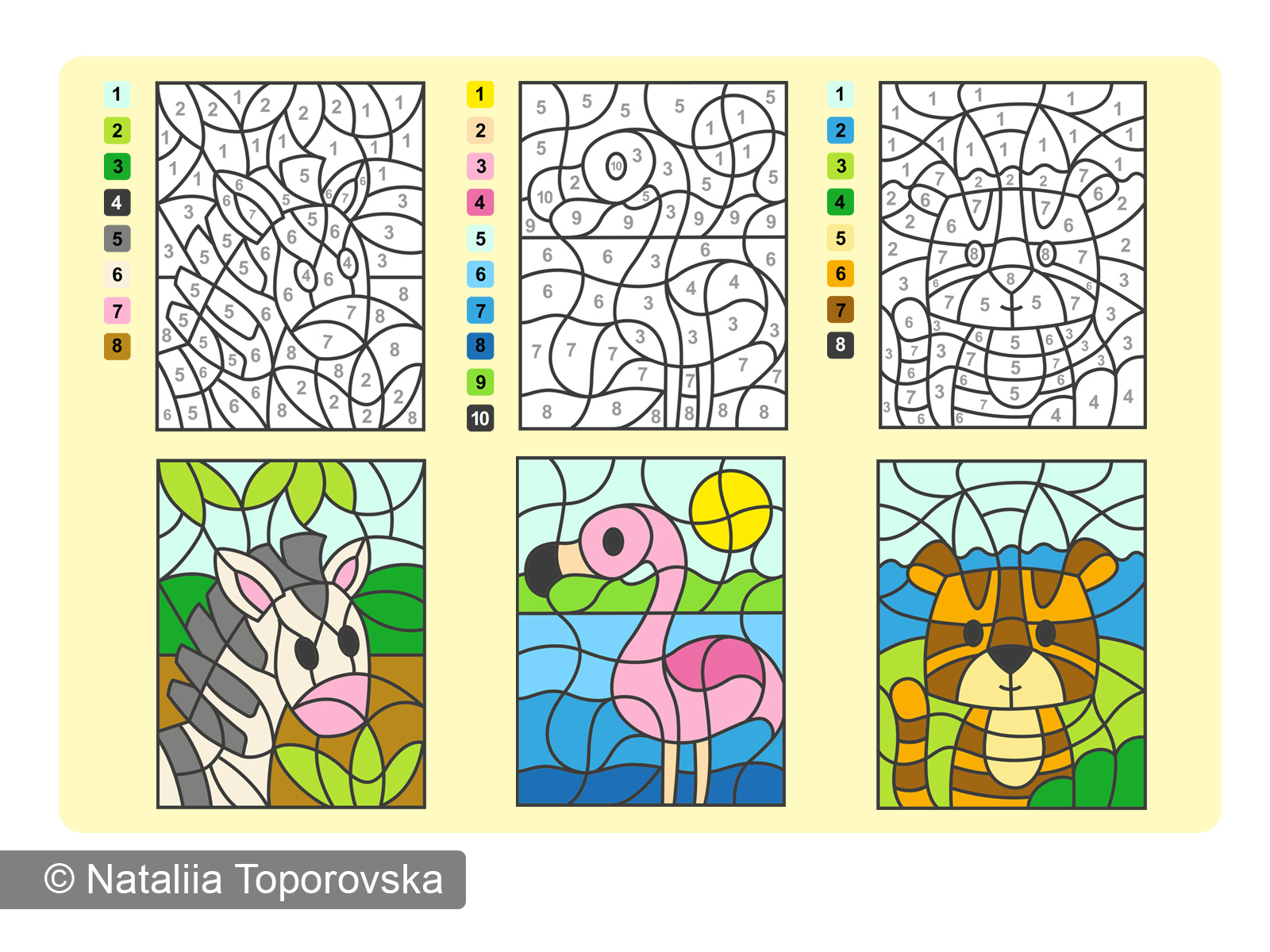 Color by numbers by Nataliia on Dribbble