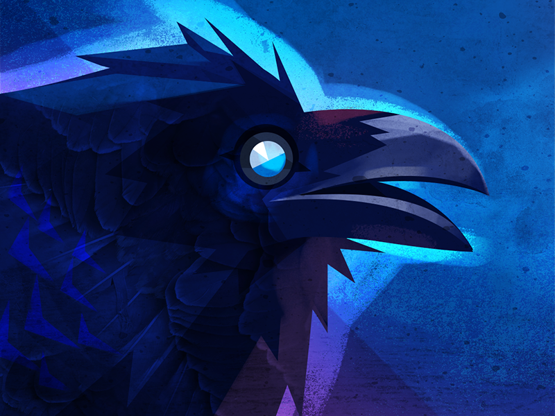 Raven for avatar by Evgeniya Rodina on Dribbble