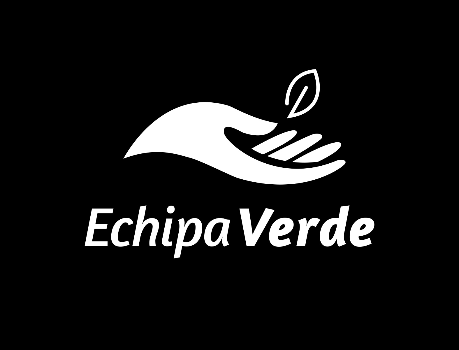 Echipa Verde by Cosmin Roman on Dribbble