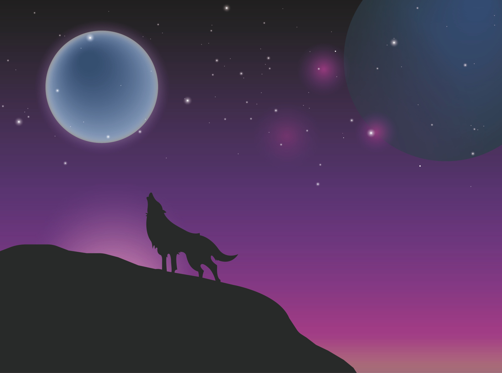 Galaxy Wolf by Hira Batool on Dribbble