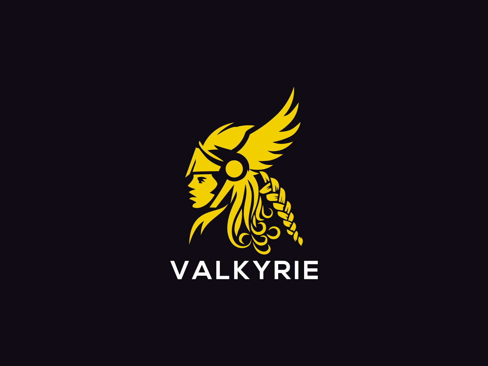 valkyrie logo by Ben Naveed 🇺🇸 on Dribbble