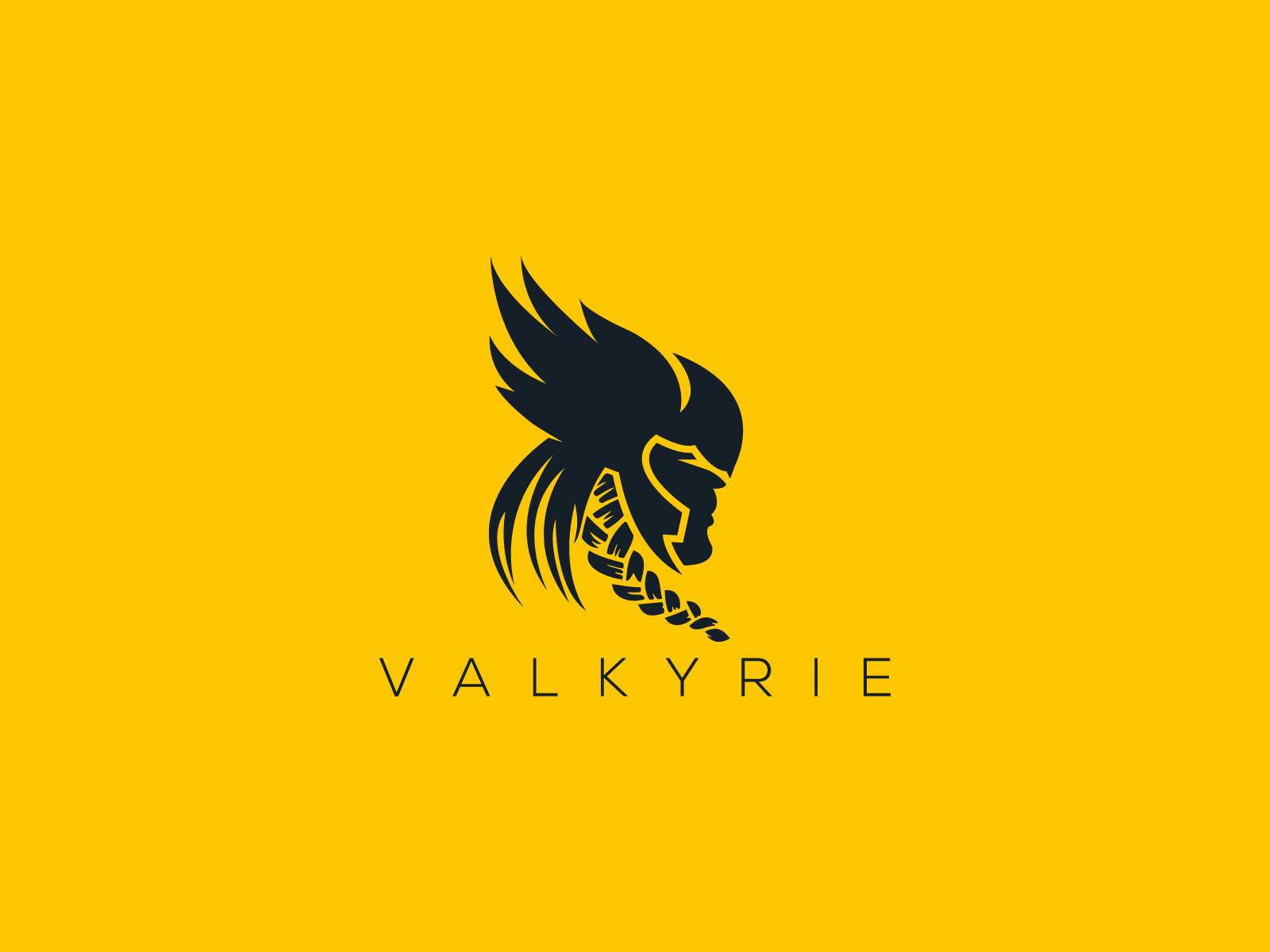 Valkyrie Logo by Ben Naveed 🇺🇸 on Dribbble