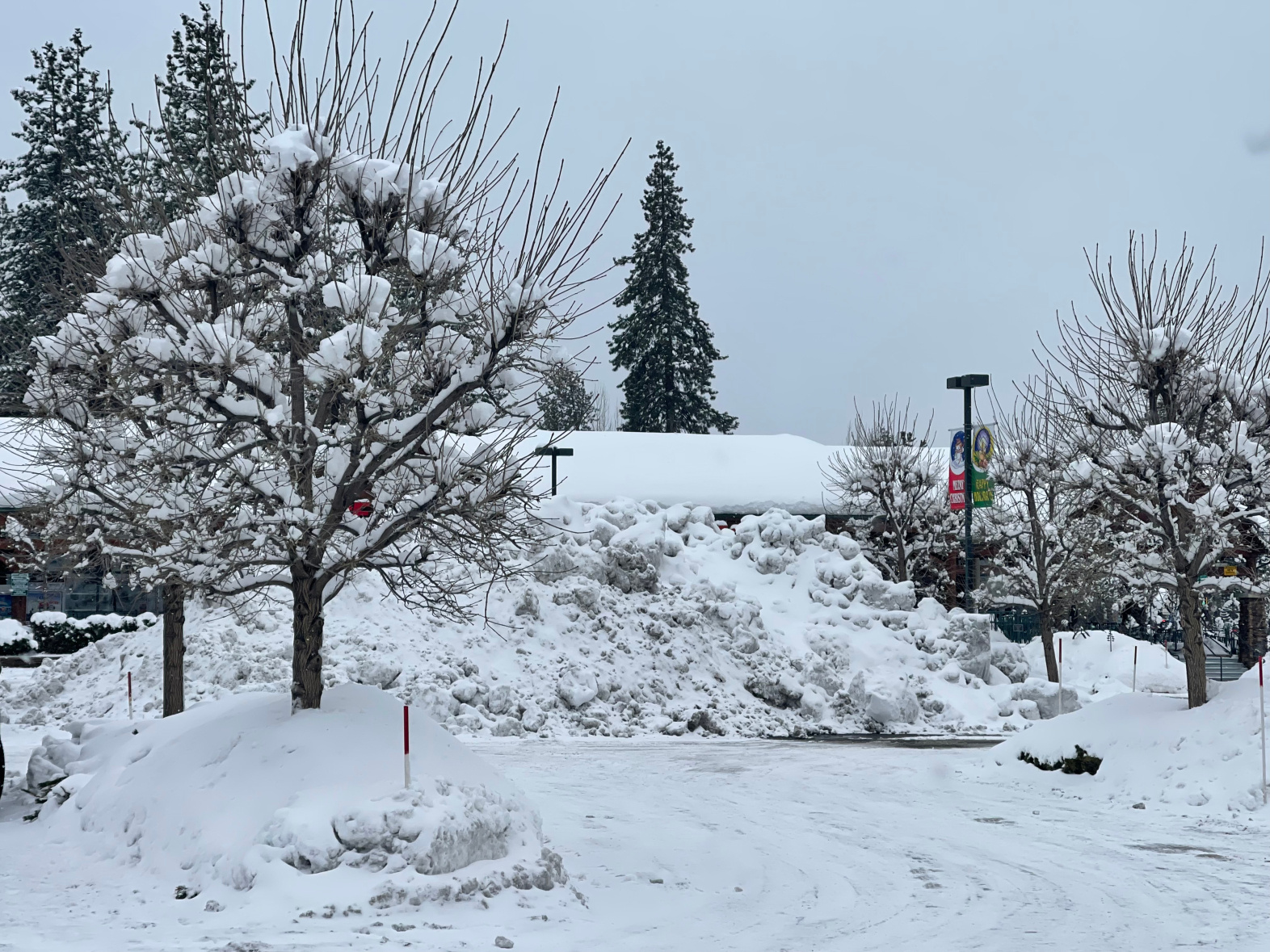 Snow scene by Suzat Fernandes on Dribbble