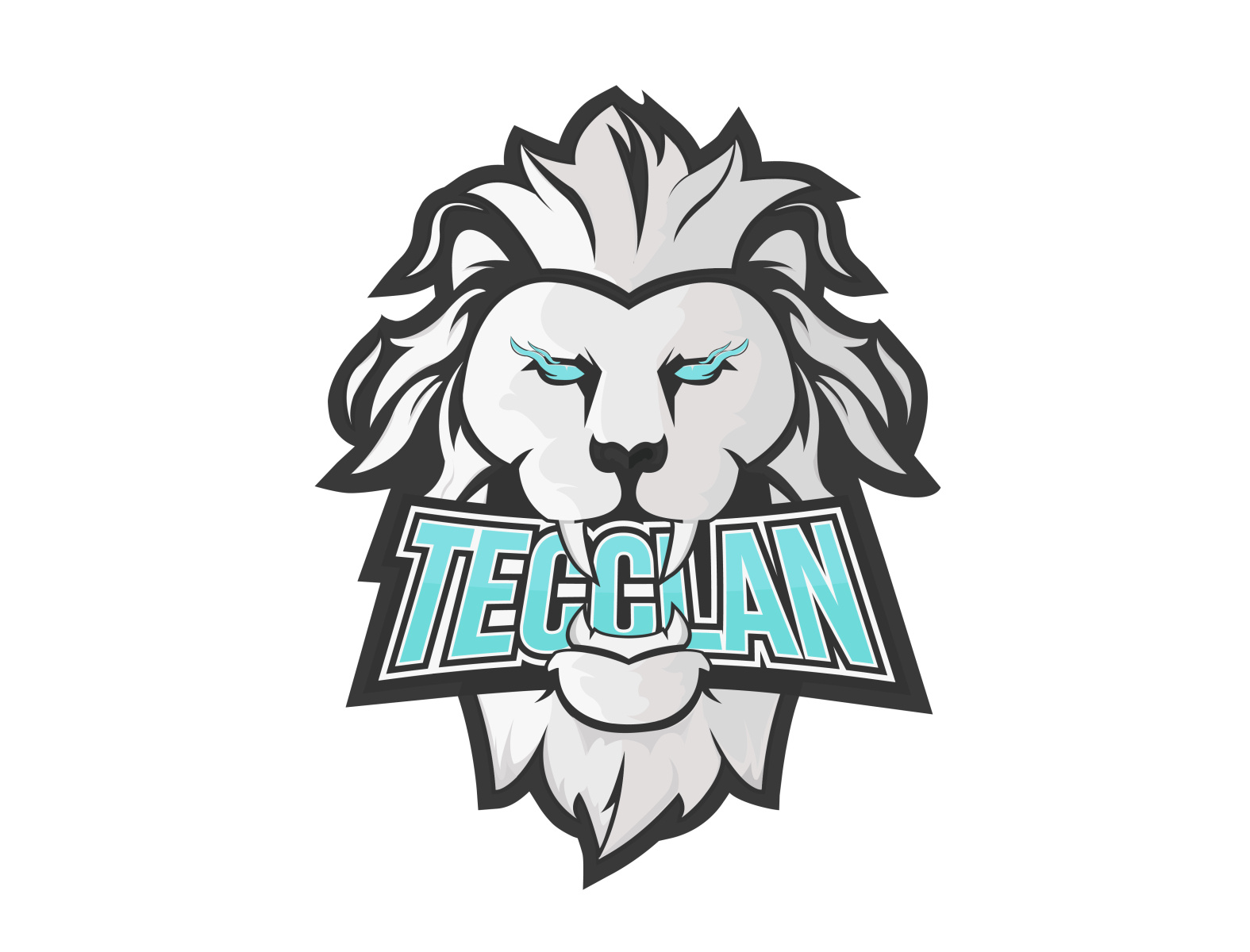Tecclan by Tiago A. Z. Bellé on Dribbble