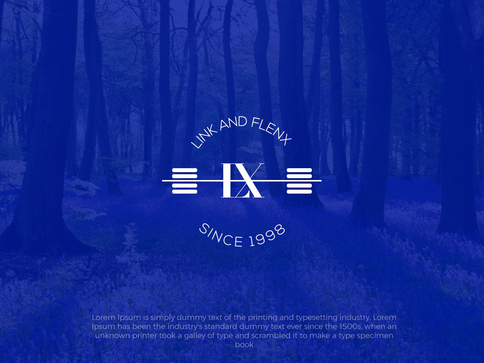 LINK AND FLENX LOGO DESIGN by Md.Imon Hossain on Dribbble