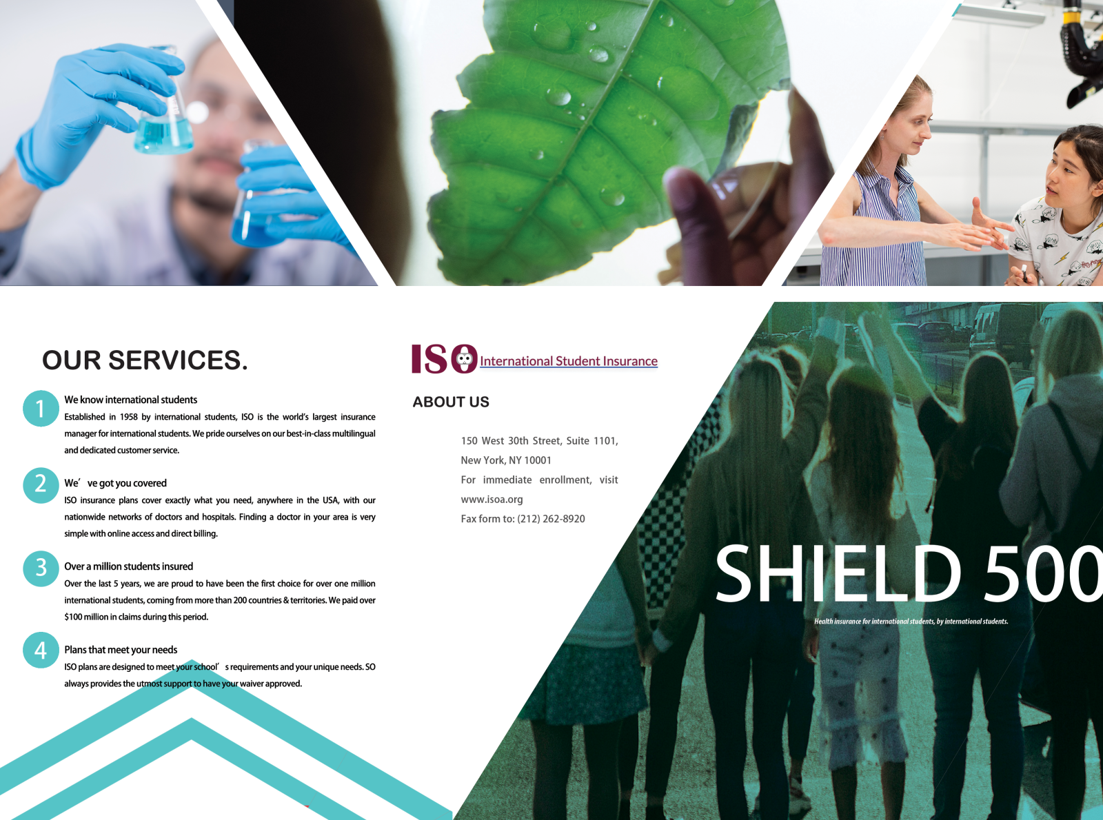 Brochure by Katrina on Dribbble