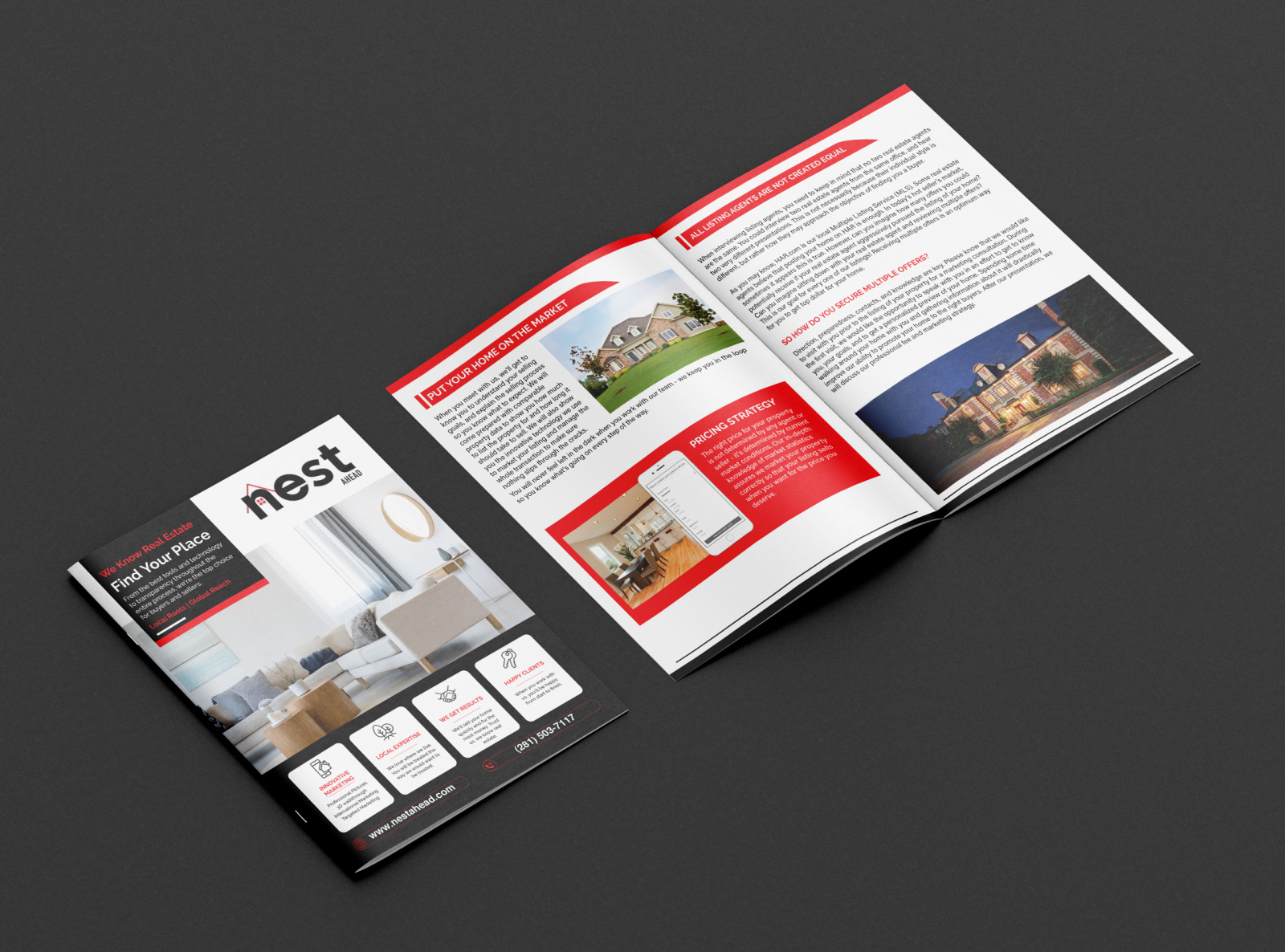 I will design the professional flyer, brochure, booklet, catalog by ...