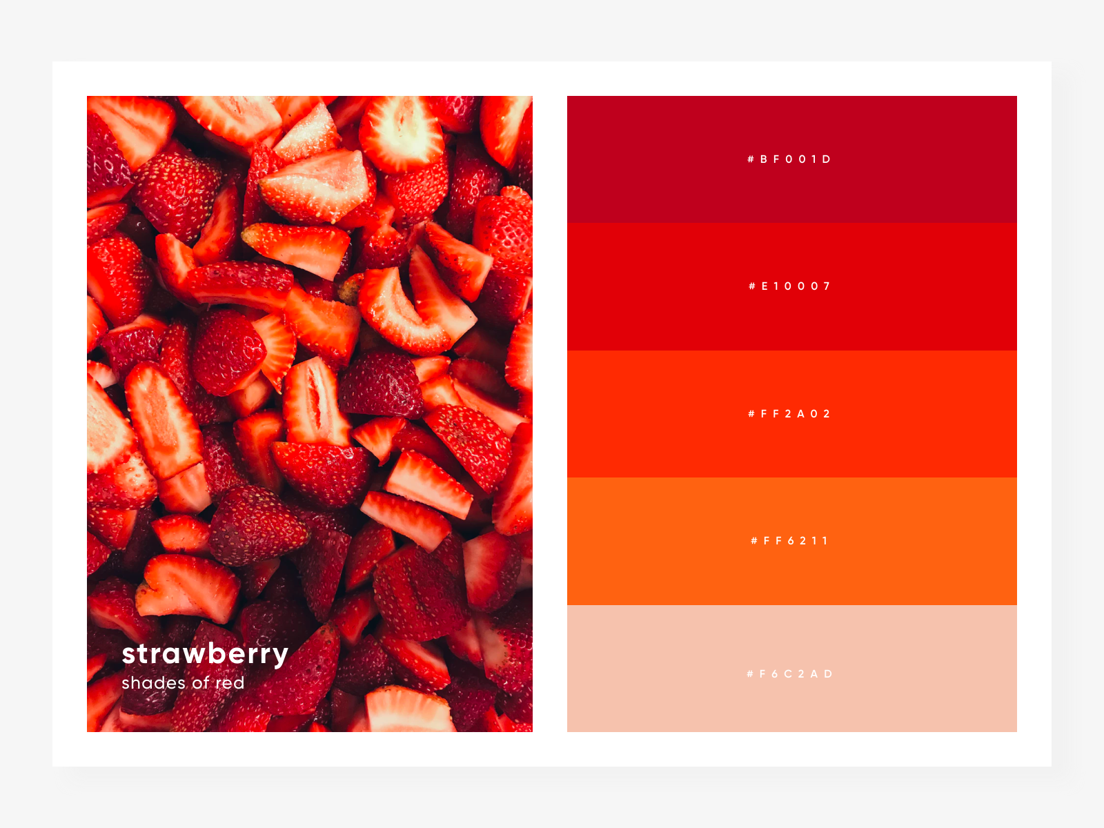 shades of red by vivek unni on Dribbble
