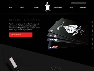 Magic Rabbit designs, themes, templates and downloadable graphic ...