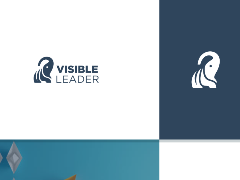 Elephant Visible Leader Logo - Syeda Saleha by Syeda Saleha | Logo ...