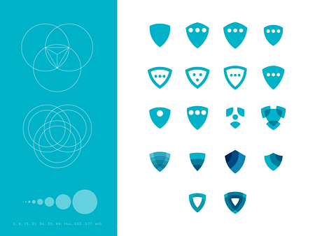 Shield or not to shield by Damian Kidd on Dribbble