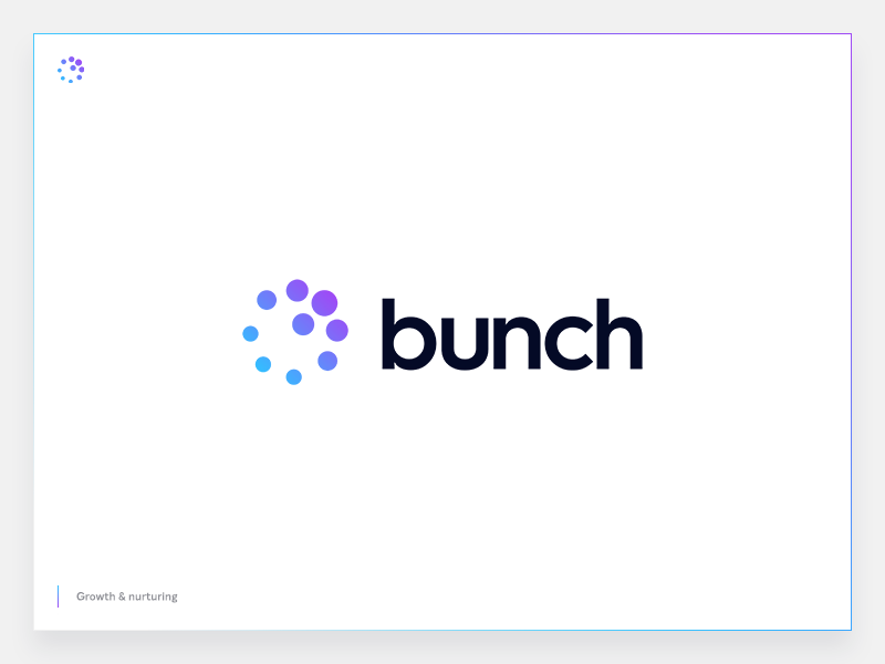 Bunch by Damian Kidd on Dribbble
