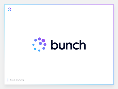Bunch by Damian Kidd - Dribbble