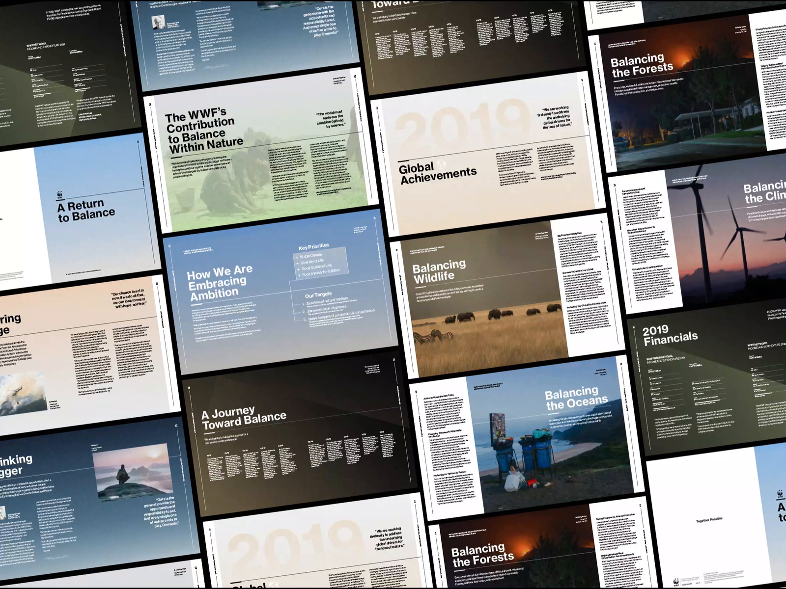 World Wildlife Fund: WWF 2019 Annual Report by Kyle Davis on Dribbble