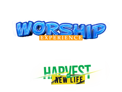 Event Custom Logo by Fakeye Michael on Dribbble