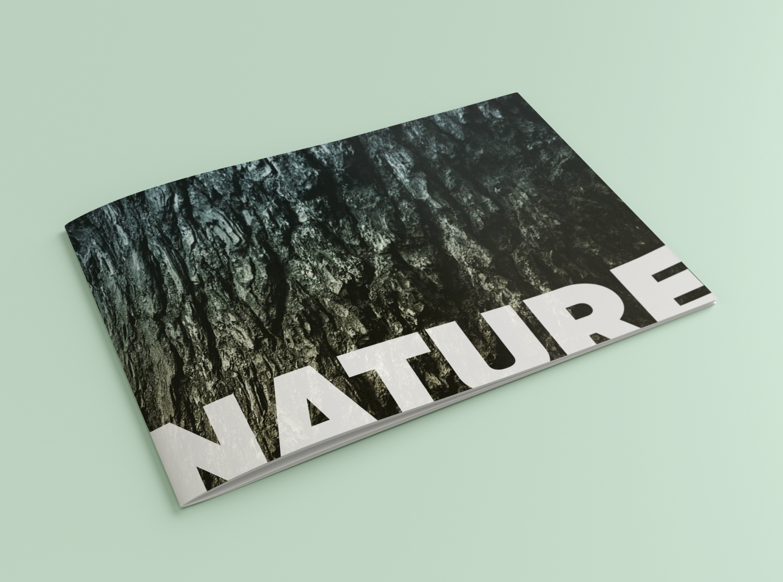 Nature Photography Zine by Shakshi Maheshwari on Dribbble