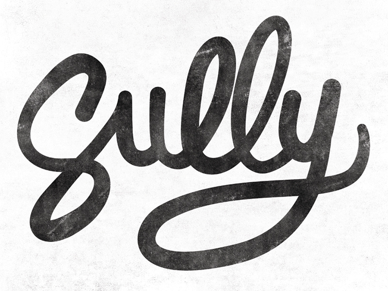 Sully by Sully on Dribbble
