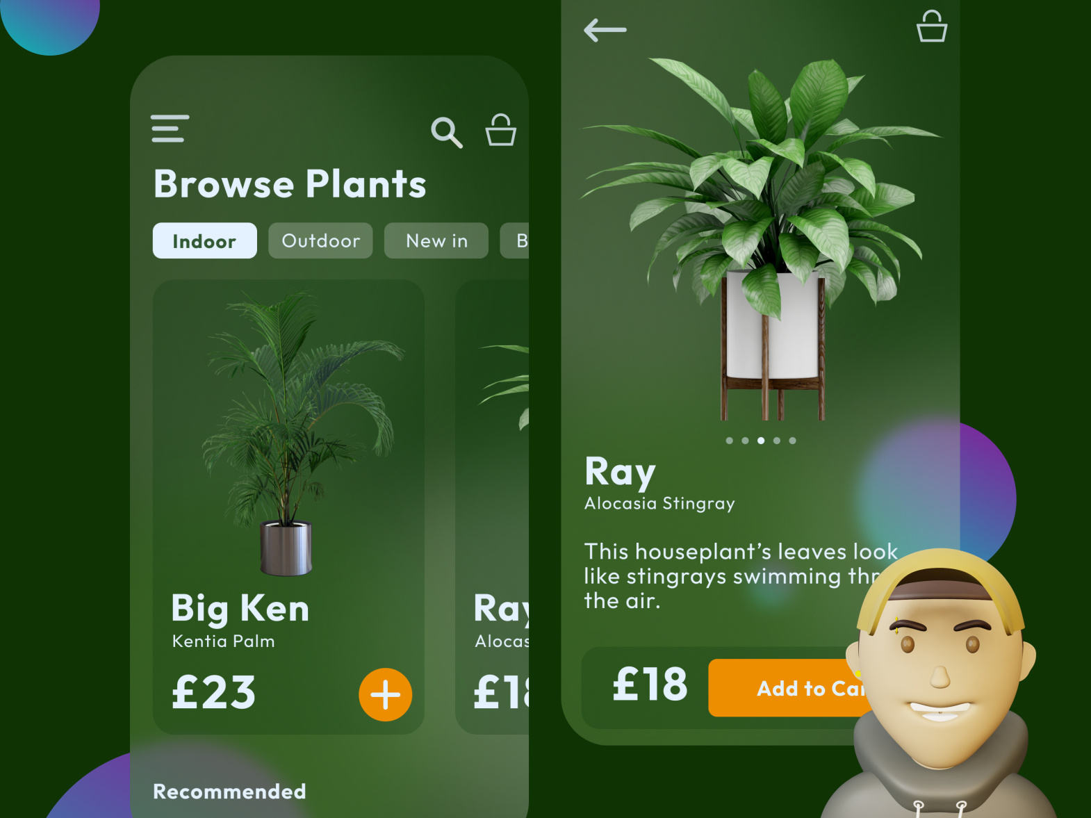 Plant Mobile Web by Fabiola Cardenas on Dribbble