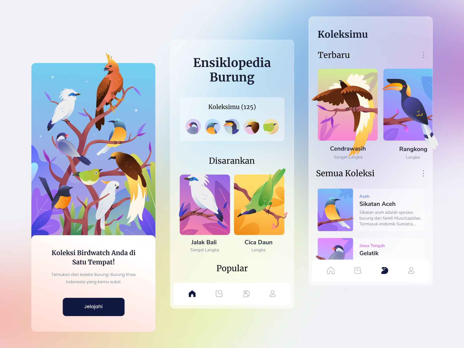 Indonesian Birds App Exploration by Papay Paperpillar for Paperpillar ...