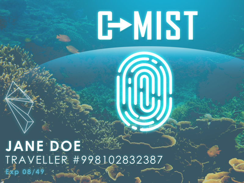 Raven Vidale | Dribbble