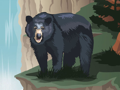 Bear Illustration by Travis Branco on Dribbble