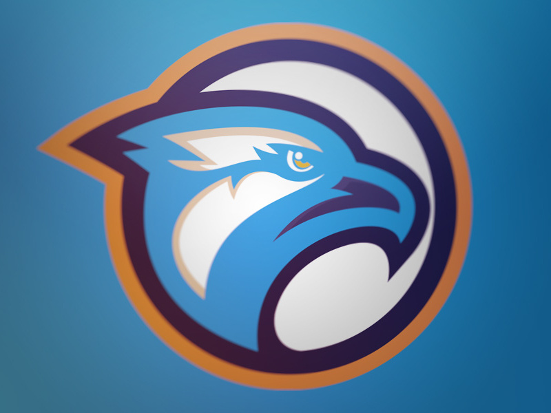 Ospreys Logo Design concept by Gergo Simara on Dribbble