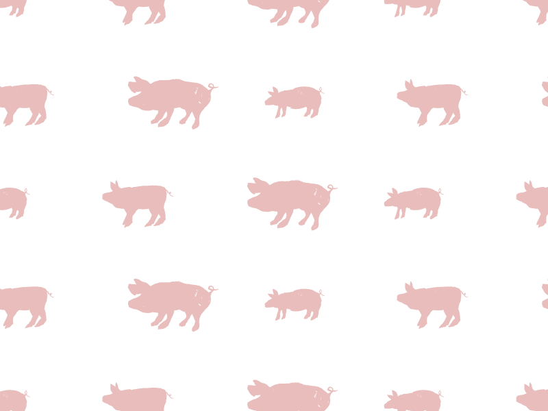 Pig Pattern by Nicole LaFave on Dribbble
