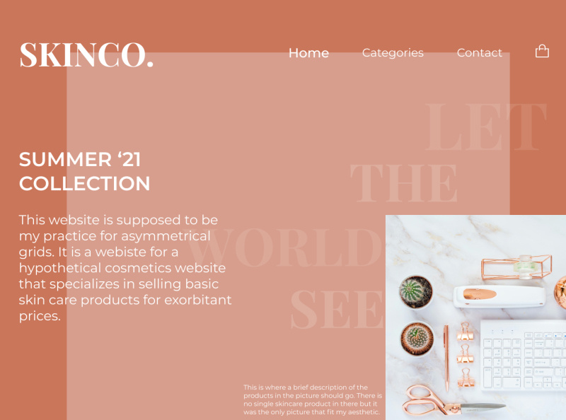 Skinco Asymmetrical grid landing page by Adediwura on Dribbble