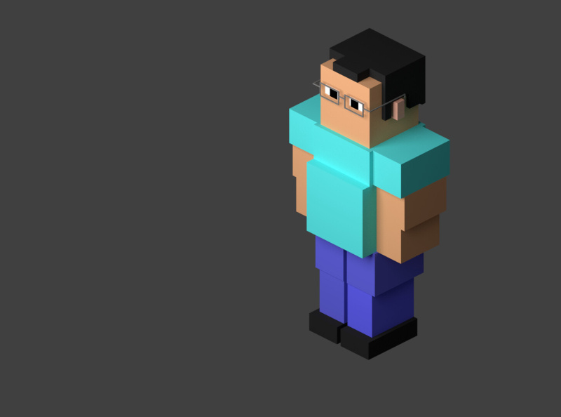 Steve Minecraft by Mehmet on Dribbble