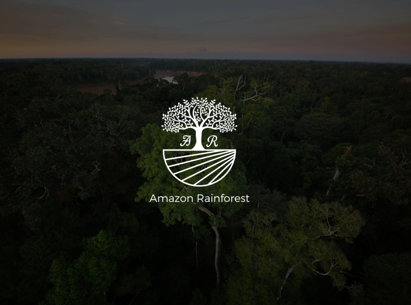 Minimalist Rainforest Logo by Akash Mahmud on Dribbble
