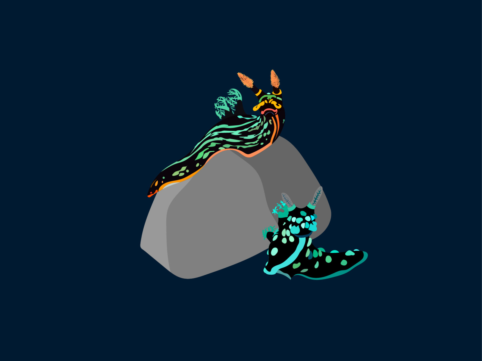 Fashion Slugs by Patrick Northey on Dribbble