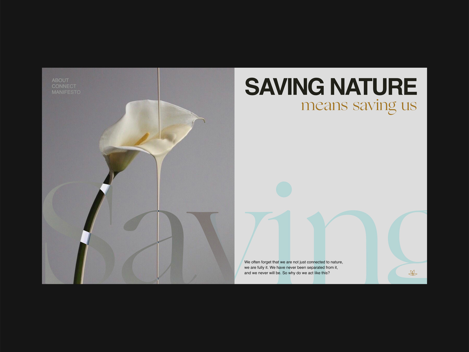 Saving Nature by matteosrr on Dribbble