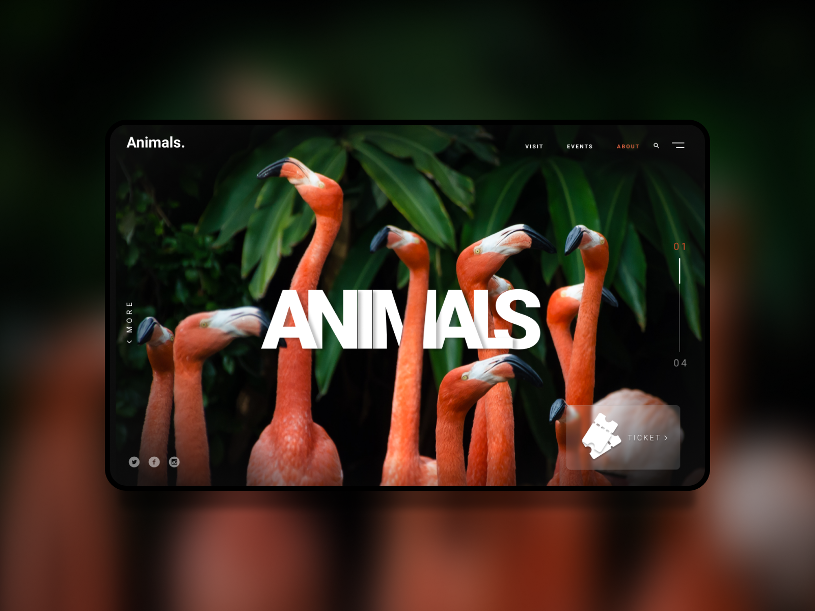 UI/UX Design. Animals. by Marina on Dribbble